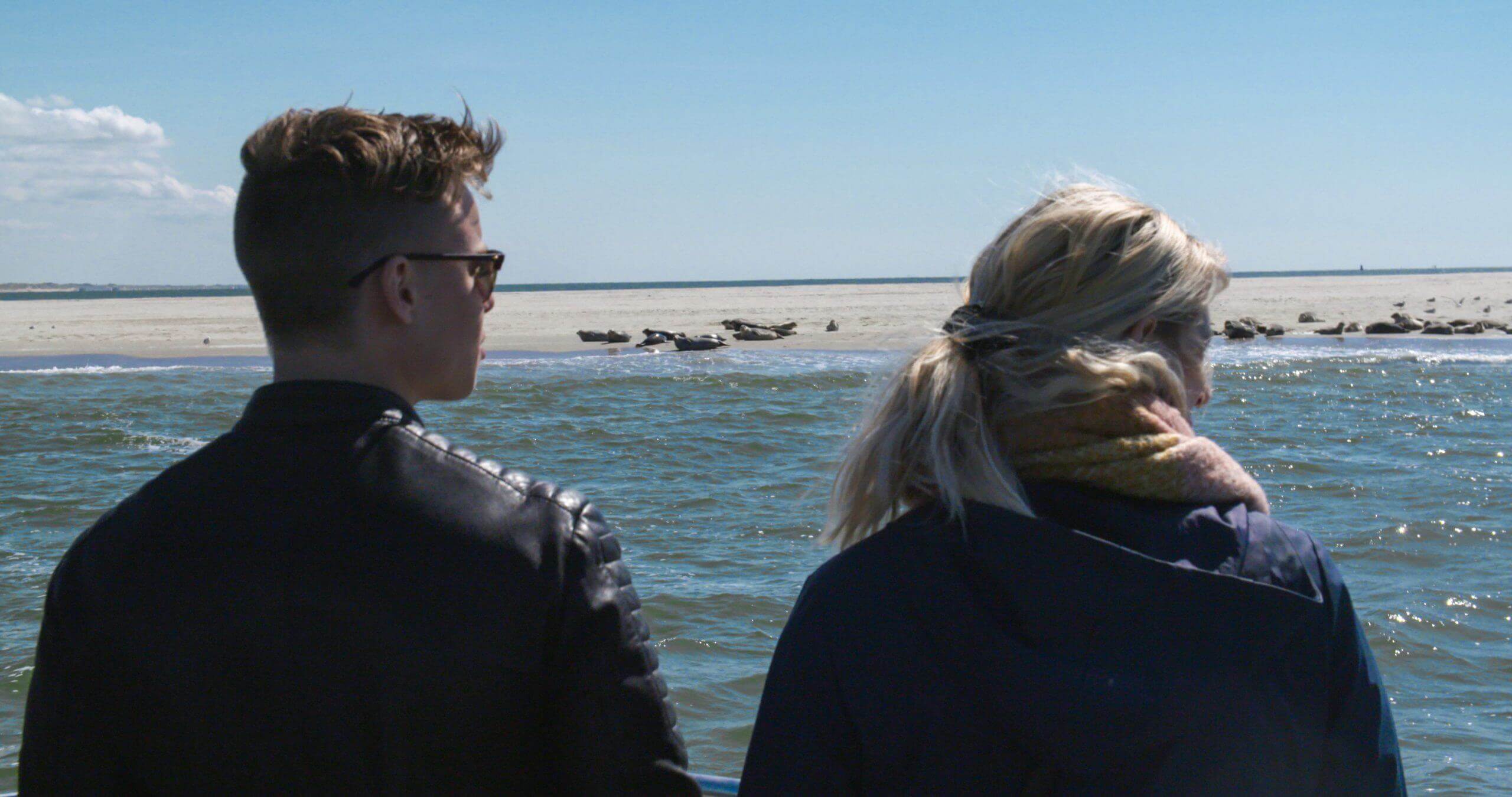 Die schönste Seal Tour auf Texel - Seals Texel