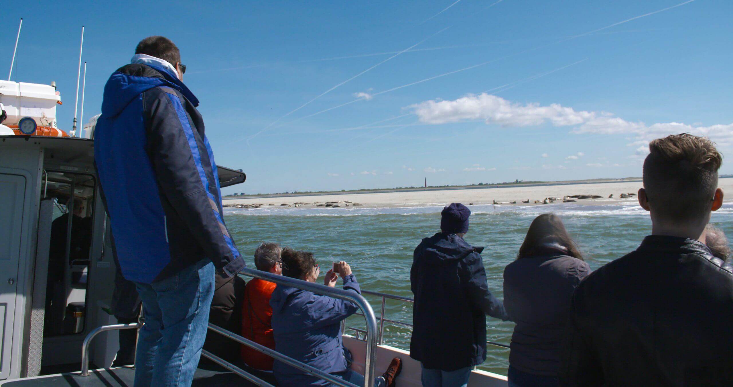 The best Seal Tour on Texel - Seals Texel